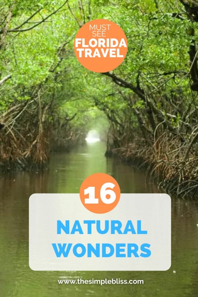 Florida natural attractions | Insiderpuj.com